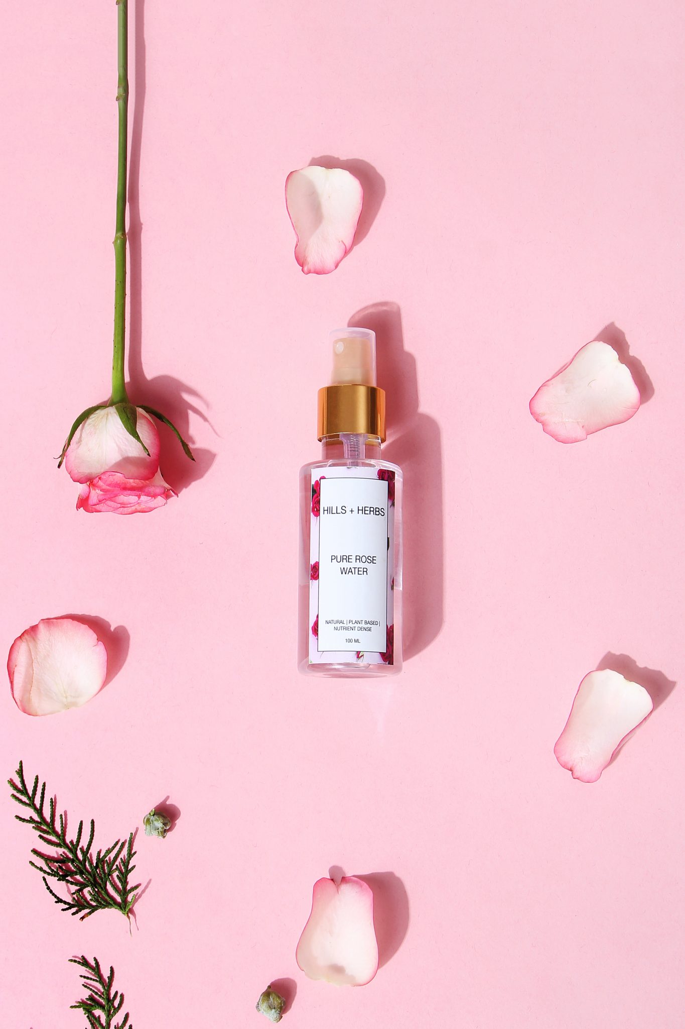 - Sweet Lemon Studio